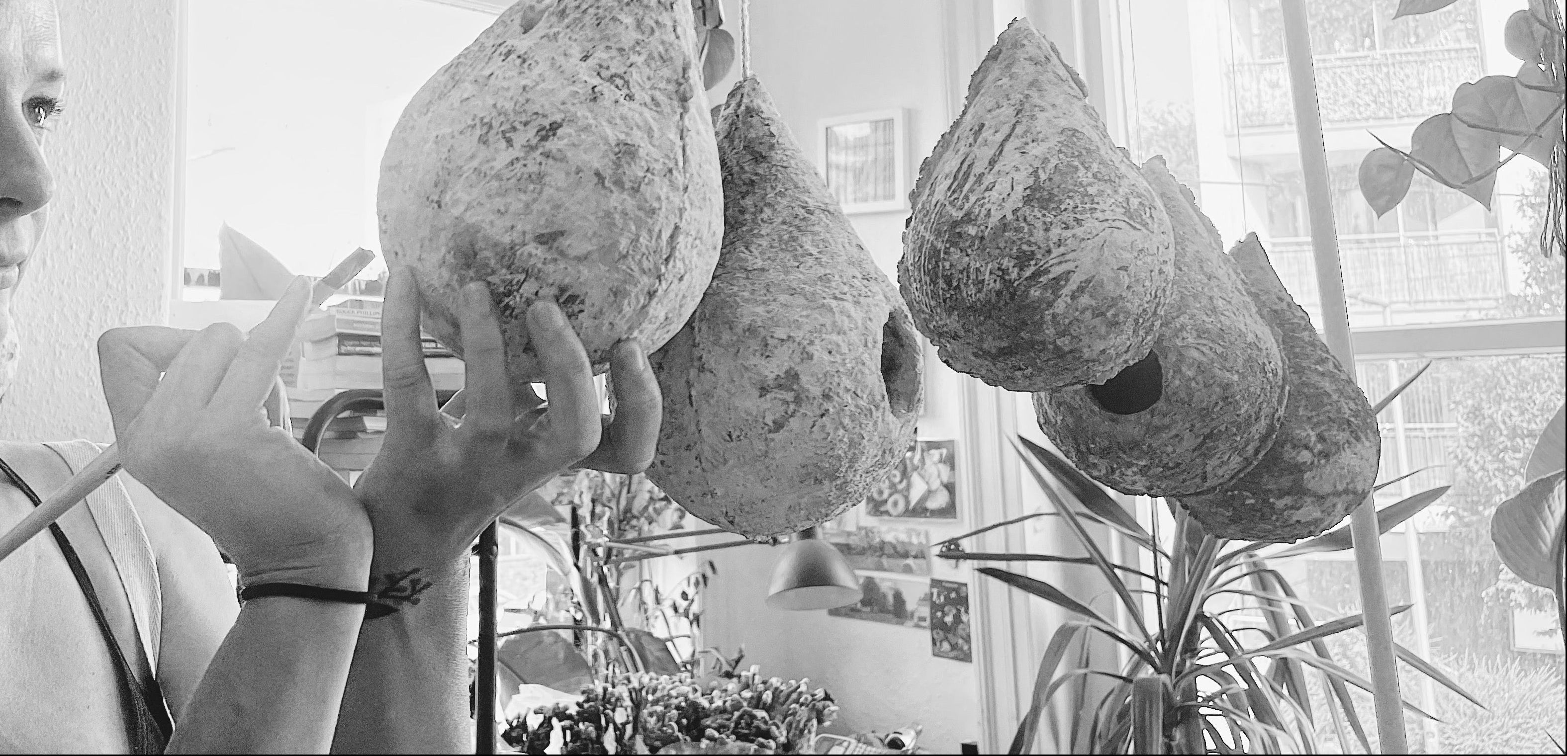 Mycelium Objects – stockportfungi